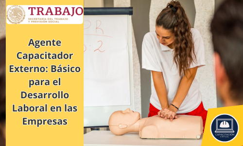 Agente Capacitador Externo: Básico para el Desarrollo Laboral en las ...